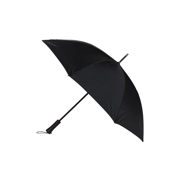 15 Best Designer Umbrellas - Read This First