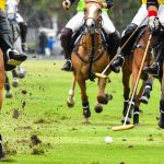 What To Wear To A Polo Match - Read This First