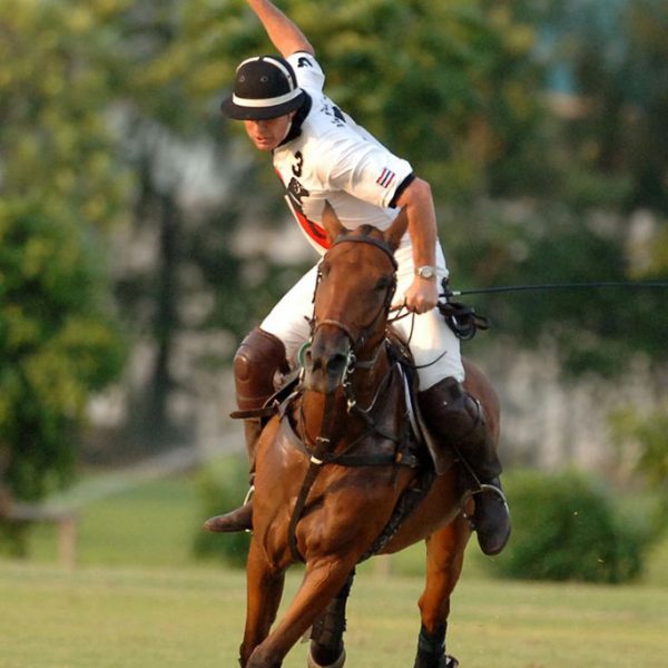 What To Wear To A Polo Match - Read This First